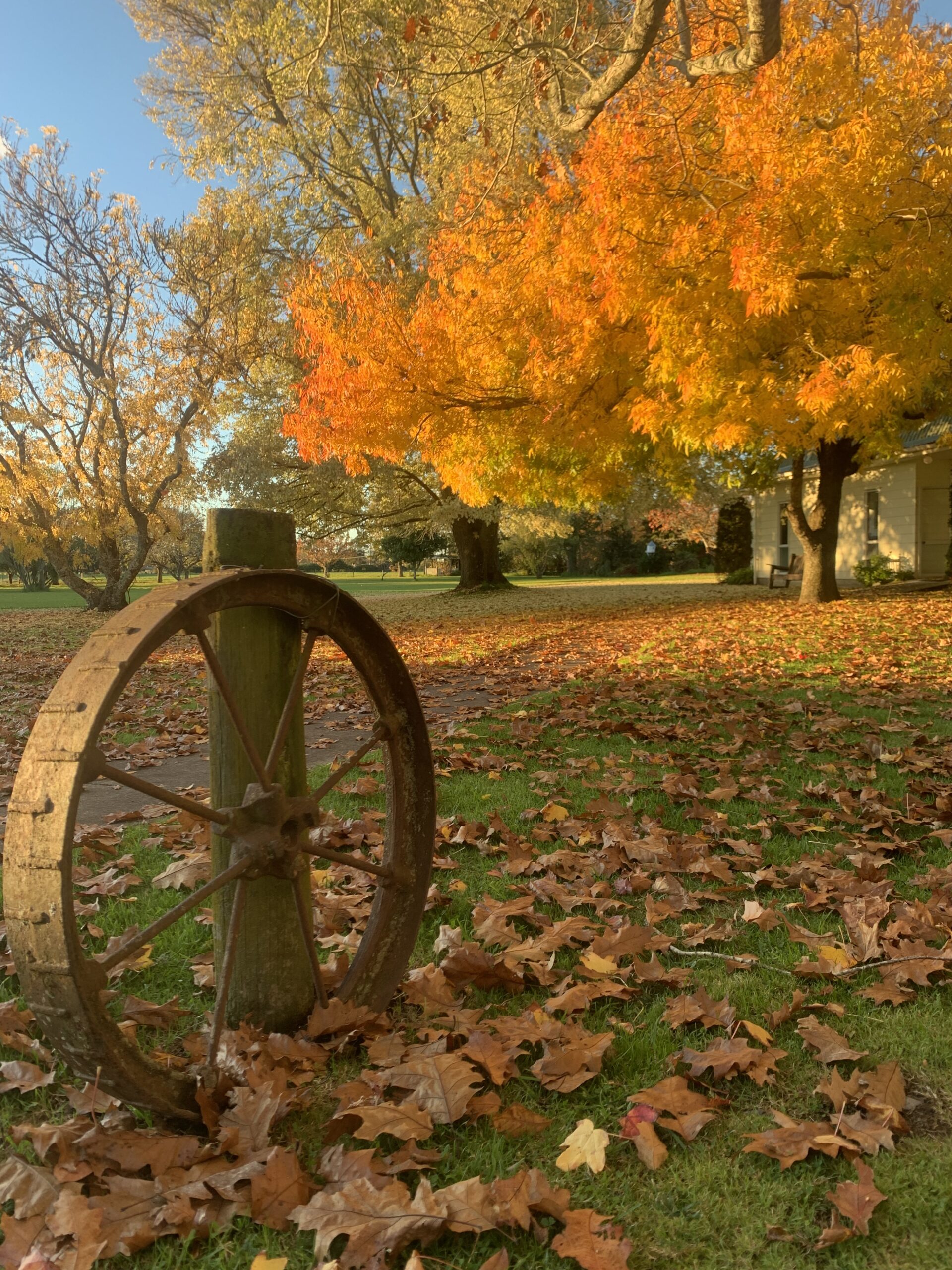 Personal Retreat September 22-26, 2025 - Titoki Christian Healing Centre